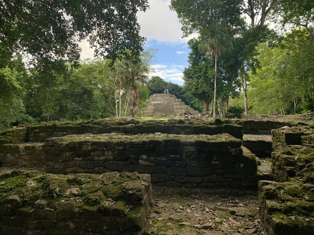 New River Boat Tour to Lamanai Maya Ruins in Belize - Swept Away Today