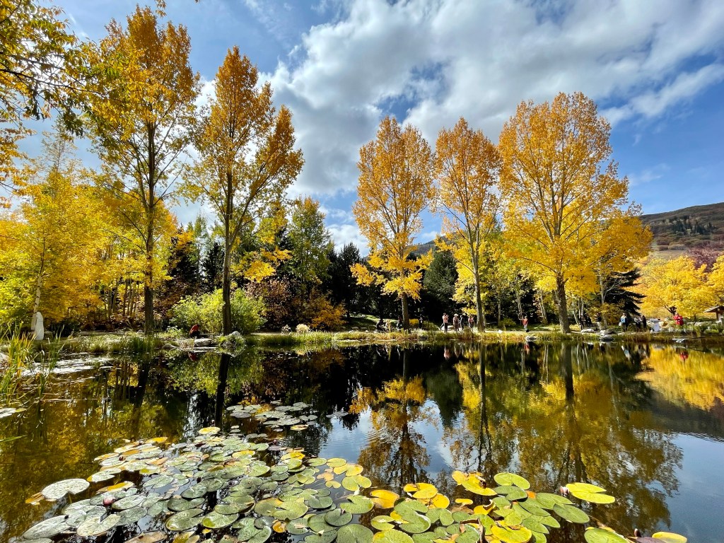 Fabulous Fall Colors Even in the Rain - Where to go Leaf Peeping in ...